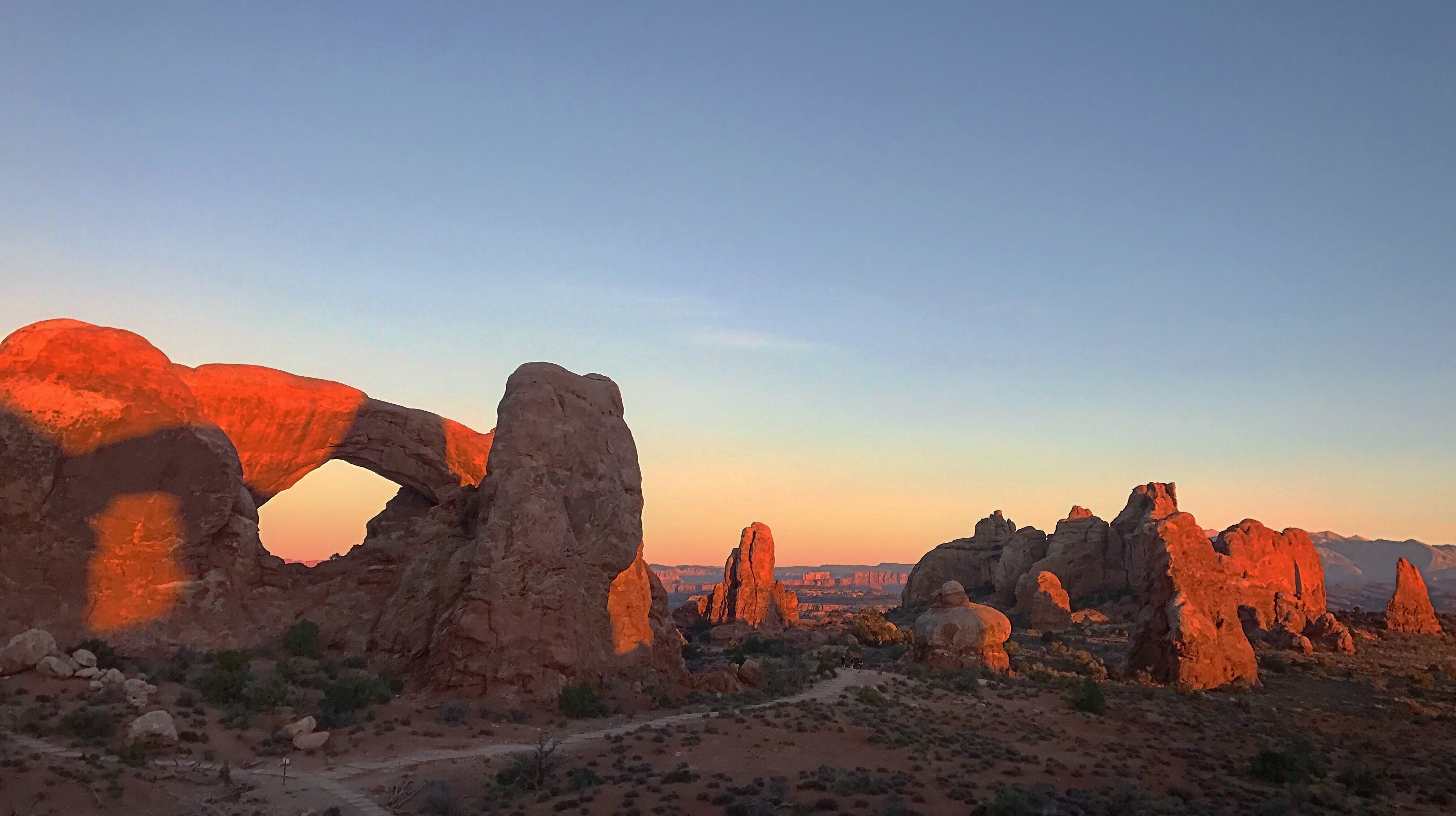 image – Argosy Odyssey