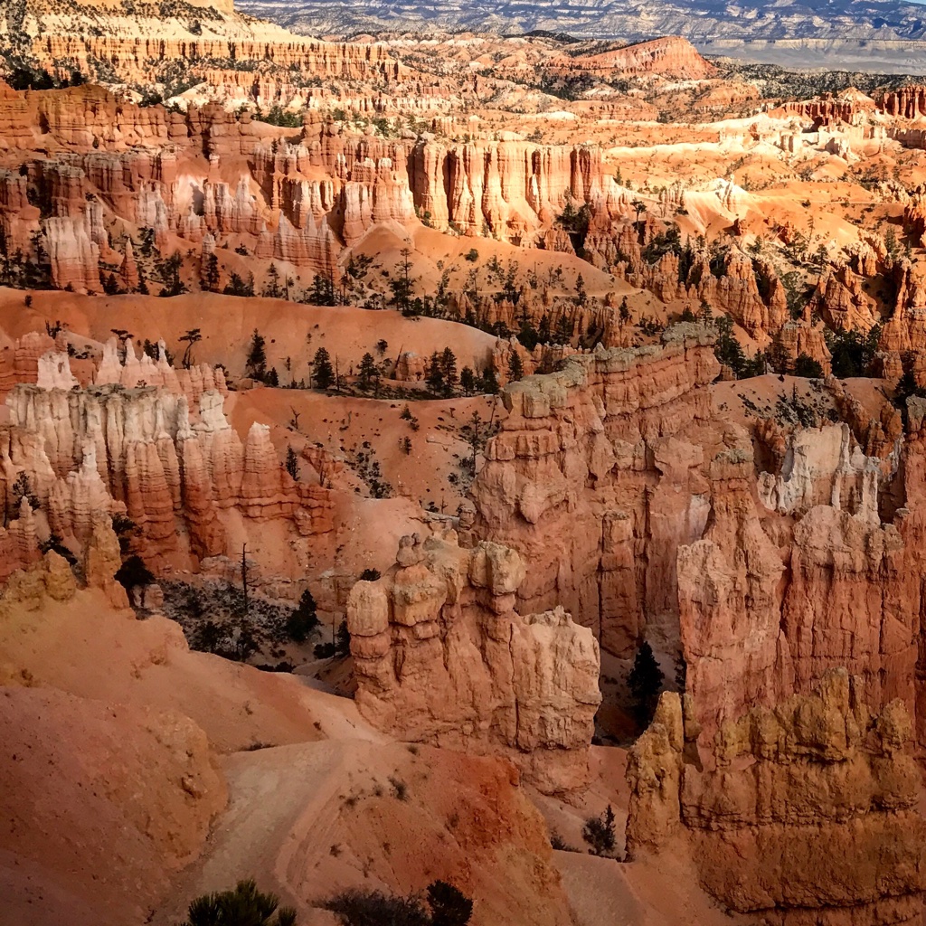 image – Argosy Odyssey