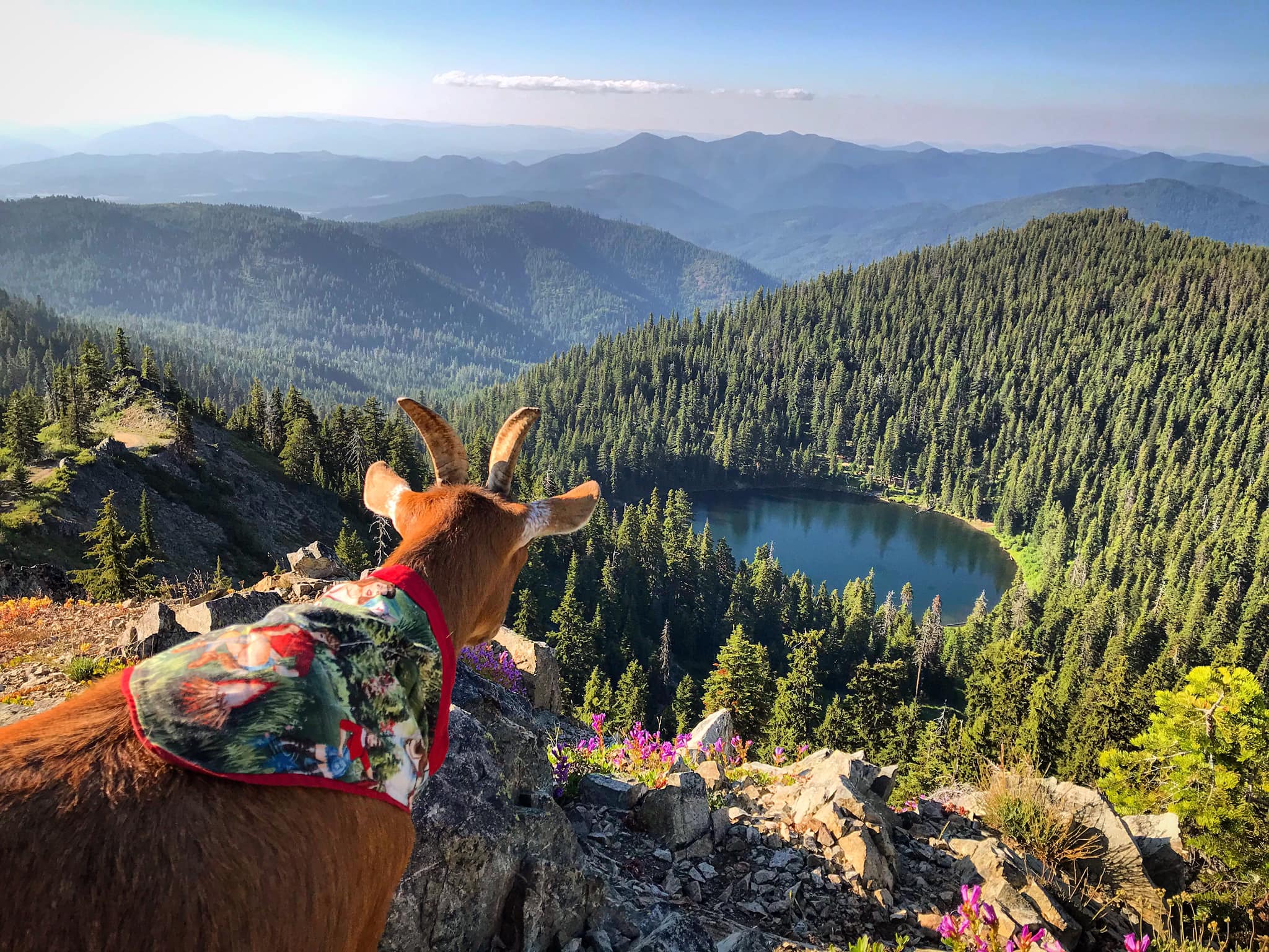 Bolan Lake and surrounding area – Argosy Odyssey