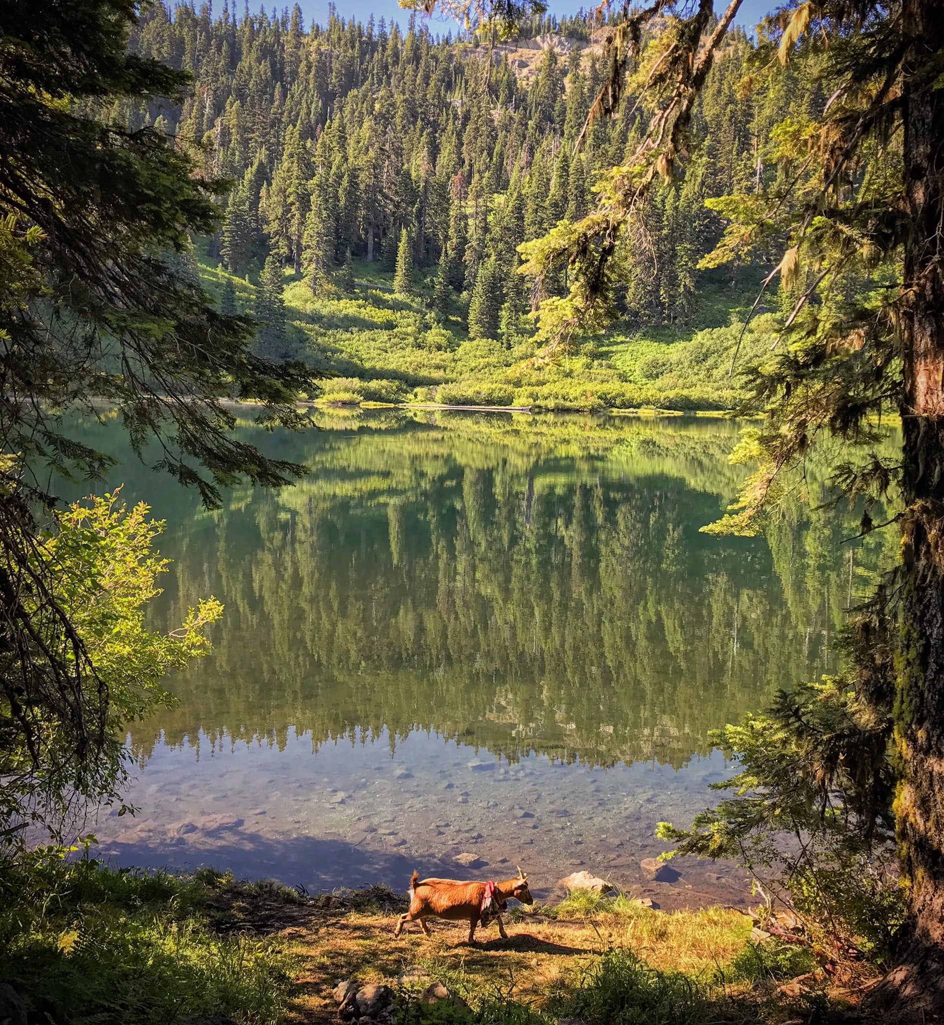 Bolan Lake and surrounding area – Argosy Odyssey